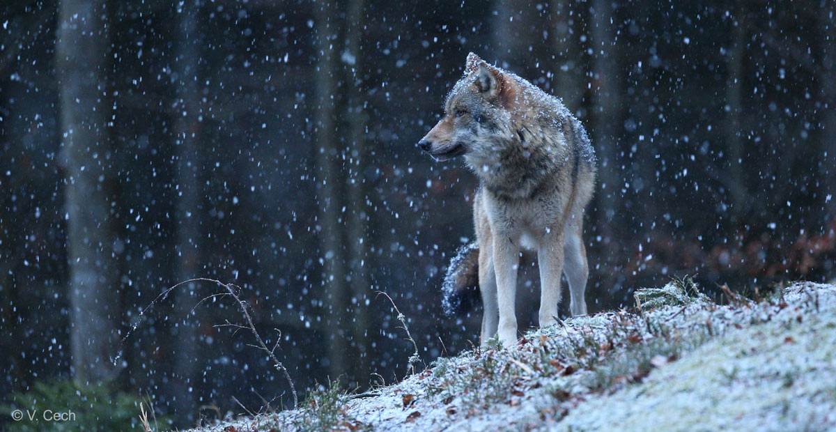 Nos kits pédagogiques • ASPAS